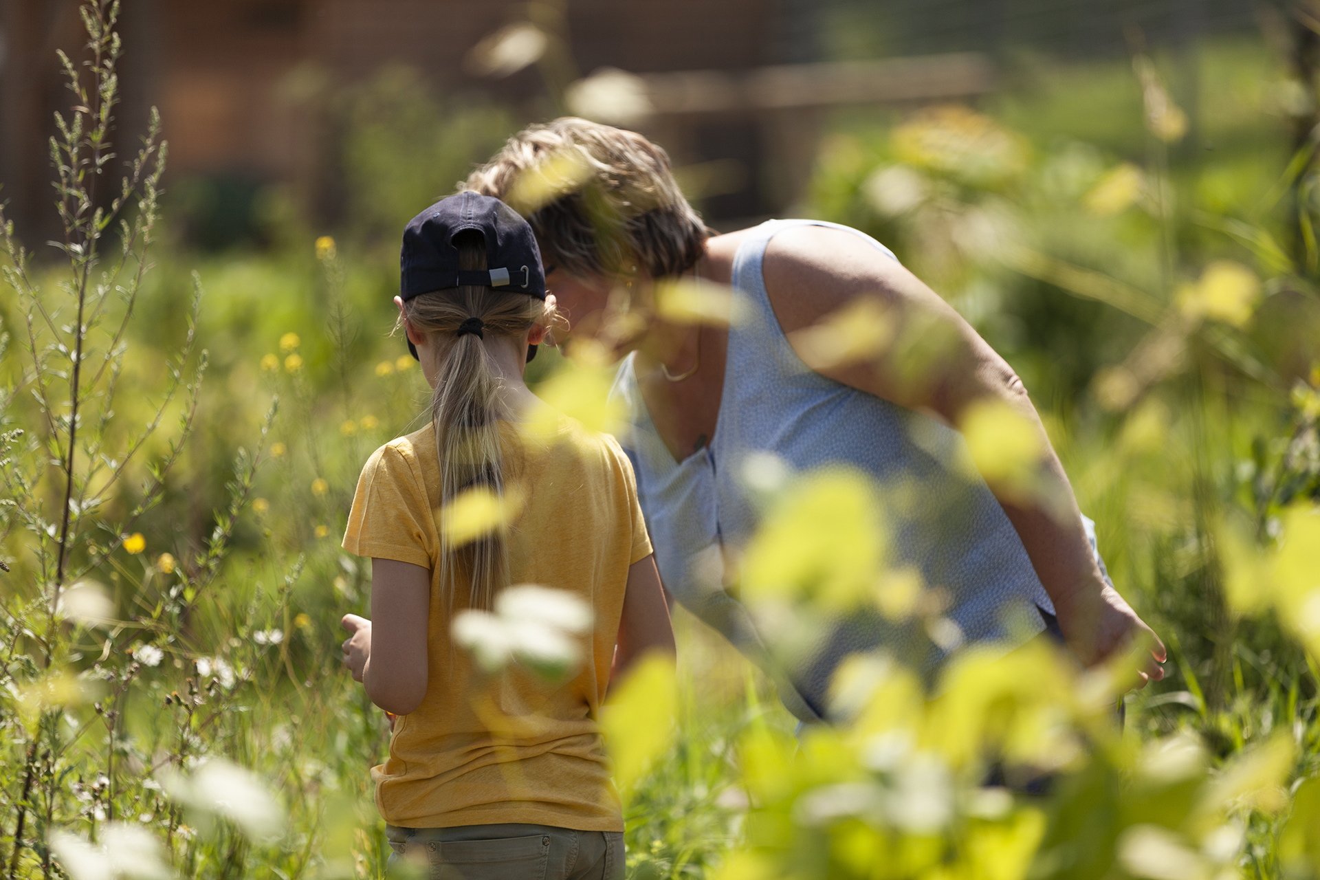 Klima- an Naturpakt: Maacht mat! - Gemeng Suessem